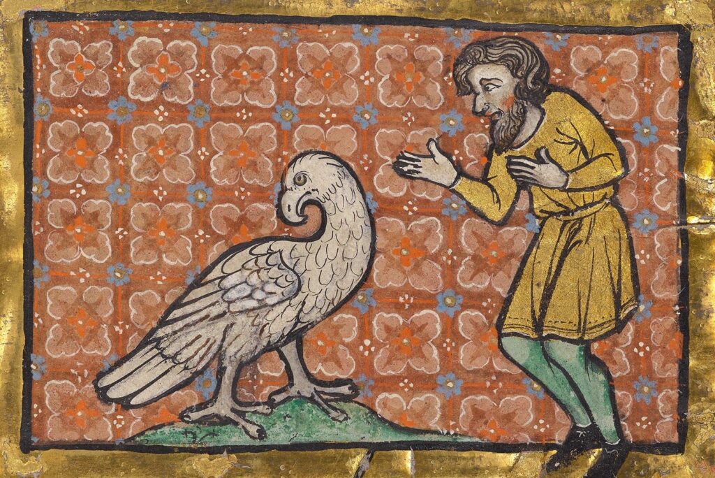 10 Surprising Facts about Books of Beasts from the European Middle Ages ...