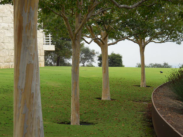 Snapshots: High School Students Photograph the Getty with Eileen Cowin ...