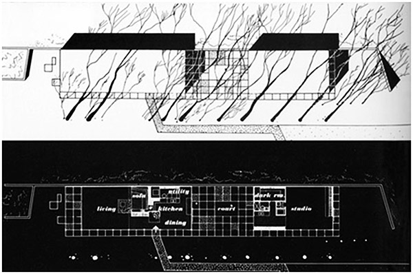What’s in a Wood? How Science Helps to Reveal the Eames’ Vision | Getty ...