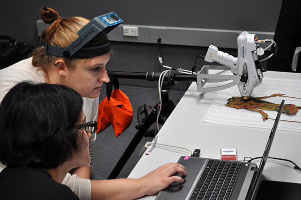 Boot Camp for Conservators Explores X-Ray Fluorescence Spectrometry ...