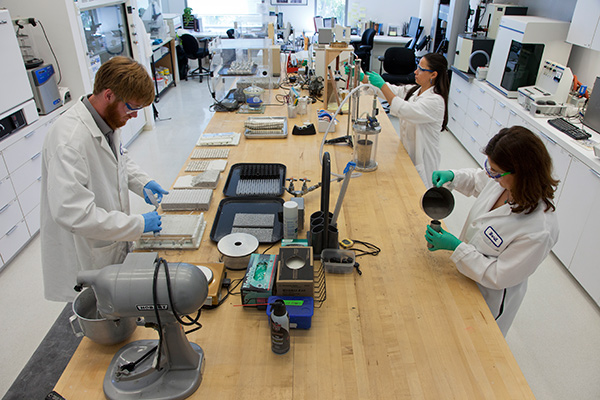 Thirty Years of Advancing Conservation Practice | Getty Iris