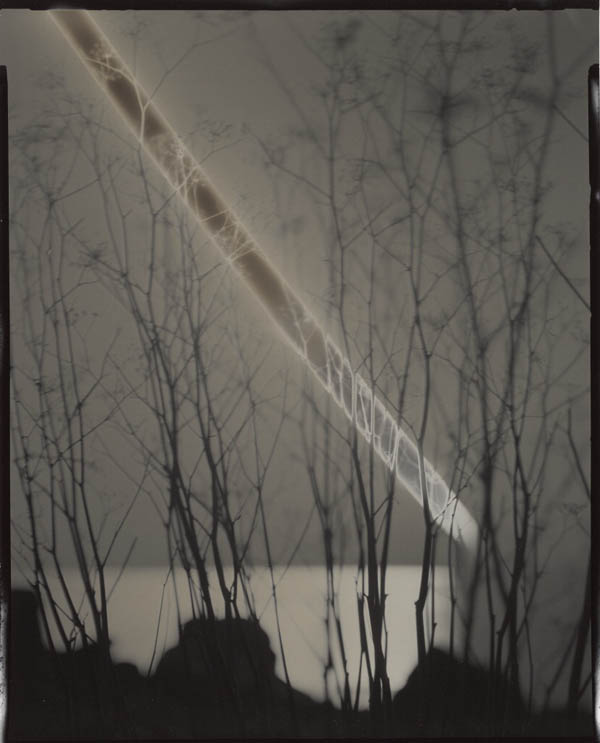 Light, Paper, Process: Reinventing Photography | Getty Iris