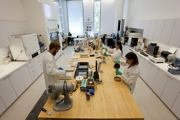 Moving On Up | Getty Iris