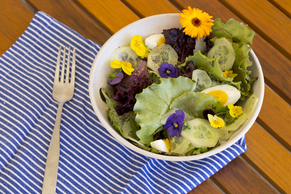 Getty Salad Garden: Marcia Reed | Getty Iris