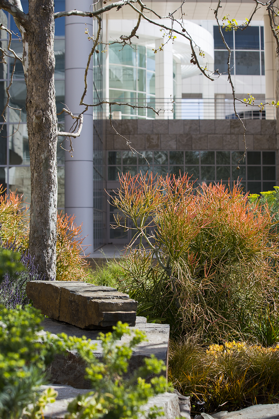 The Inside Scoop on the Getty’s Spring Garden | Getty Iris