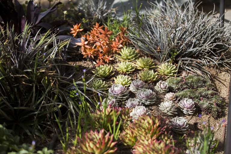 The Inside Scoop on the Getty’s Spring Garden | Getty Iris