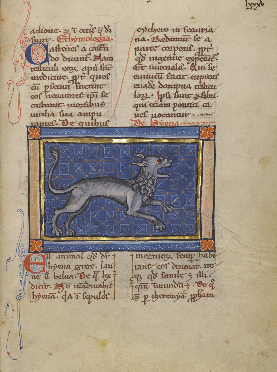 Symposium Presents New Research on the Medieval Bestiary | Getty Iris
