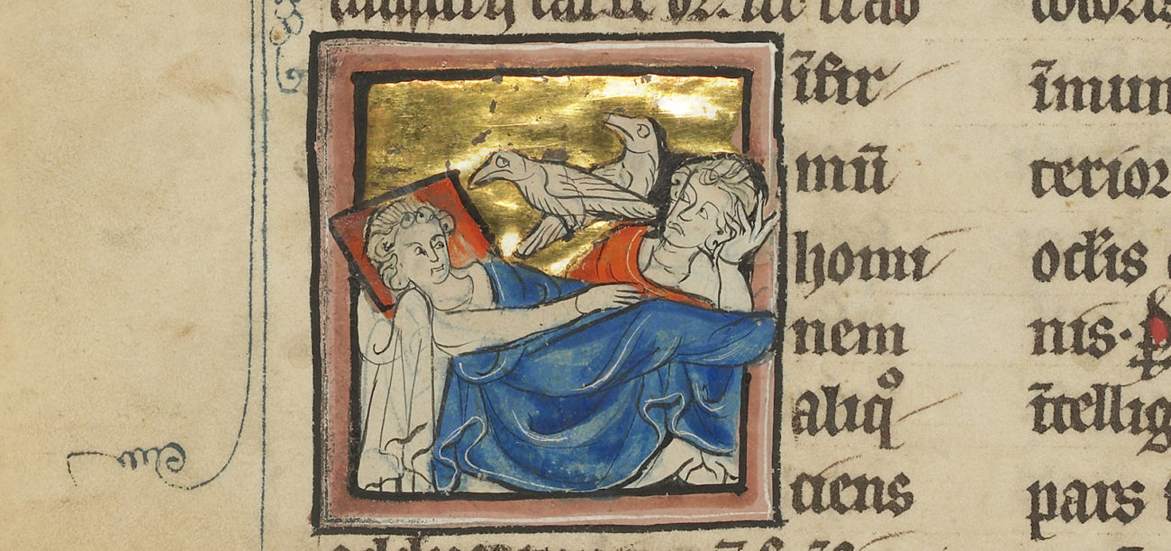 The Caladrius, Harbinger of Hope or Despair | Getty Iris