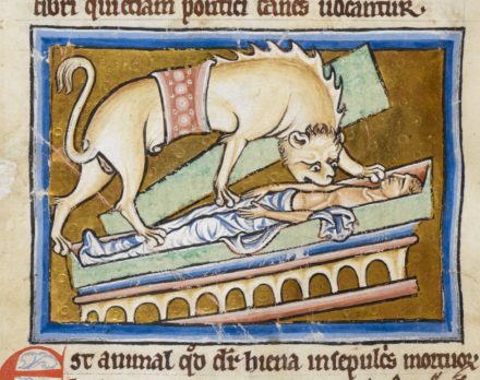 The Corpse-Devouring Hyena of the Medieval Bestiary | Getty Iris