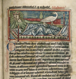 The Caladrius, Harbinger of Hope or Despair | Getty Iris