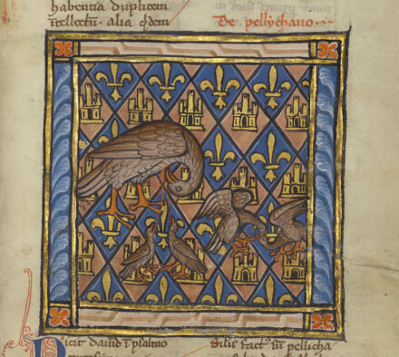 10 Surprising Facts about Books of Beasts from the European Middle Ages ...