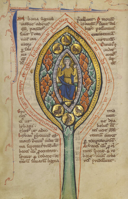 10 Surprising Facts about Books of Beasts from the European Middle Ages ...