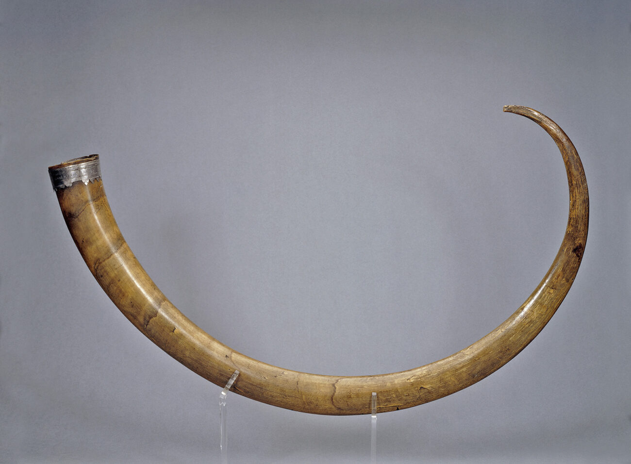 An Introduction to the Bestiary, Book of Beasts in the Medieval World ...