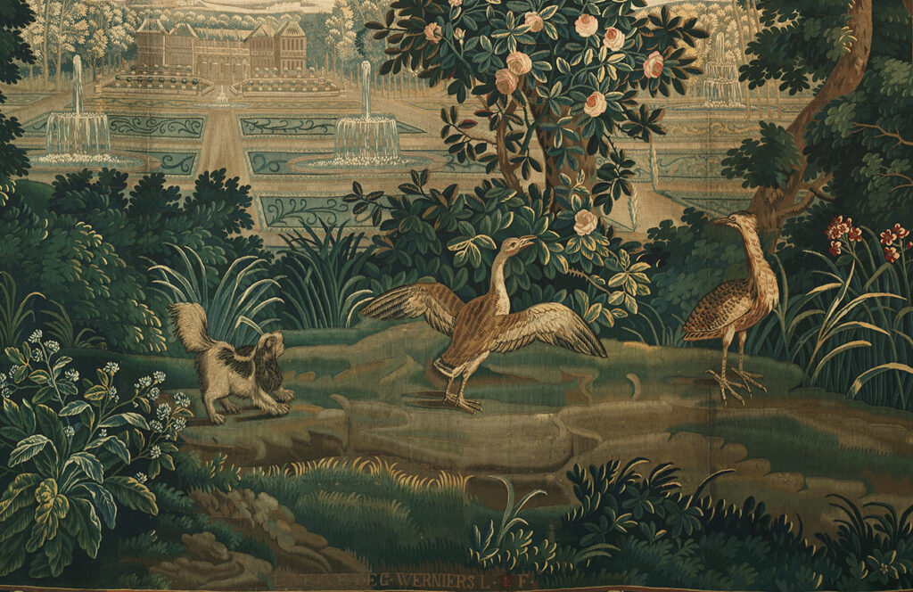 10 Dogs We Love from the Getty Collection | Getty Iris