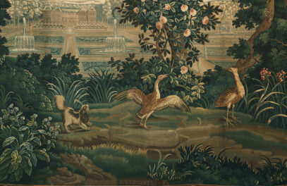 10 Dogs We Love from the Getty Collection | Getty Iris