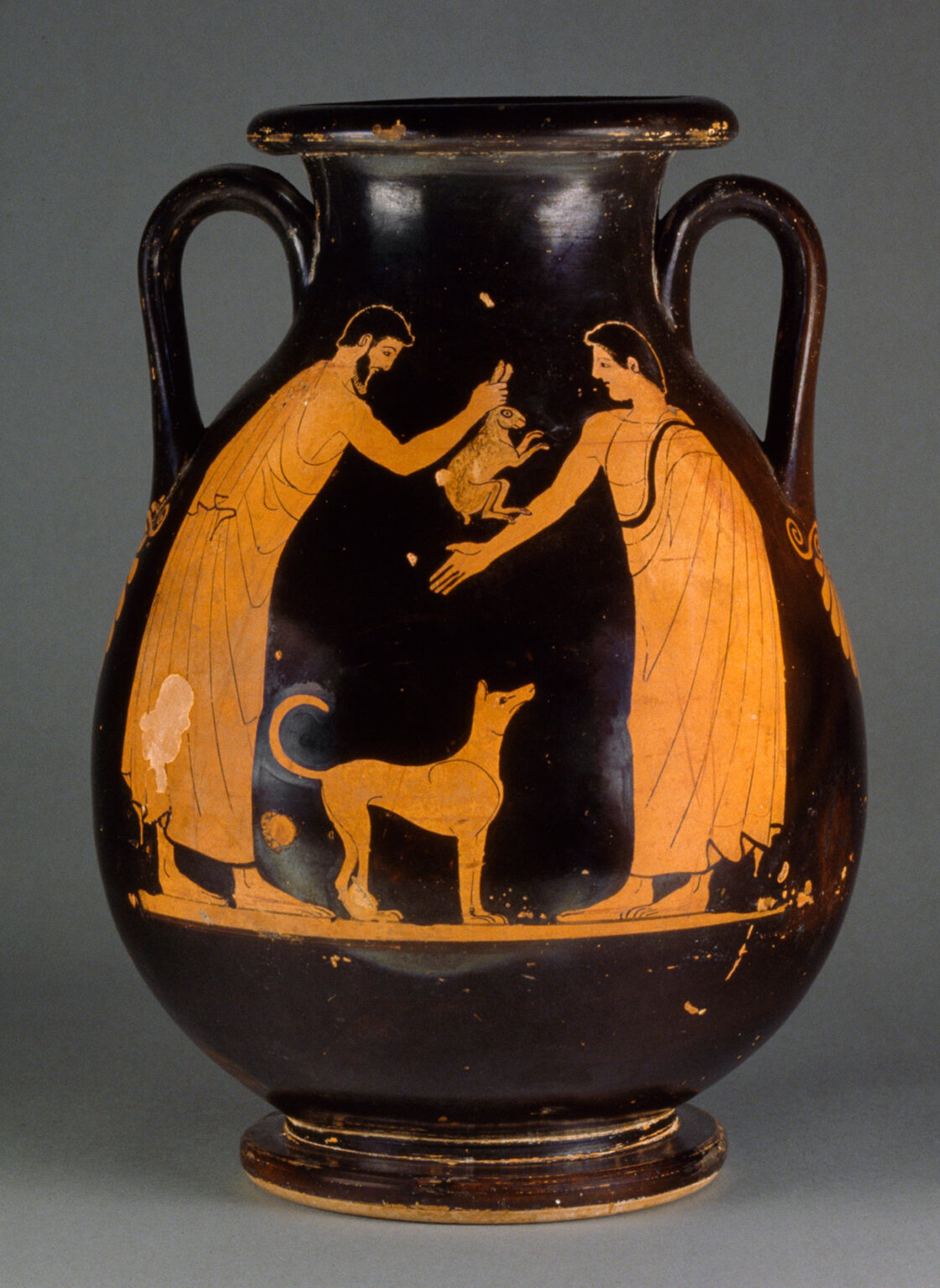 10 Dogs We Love from the Getty Collection | Getty Iris