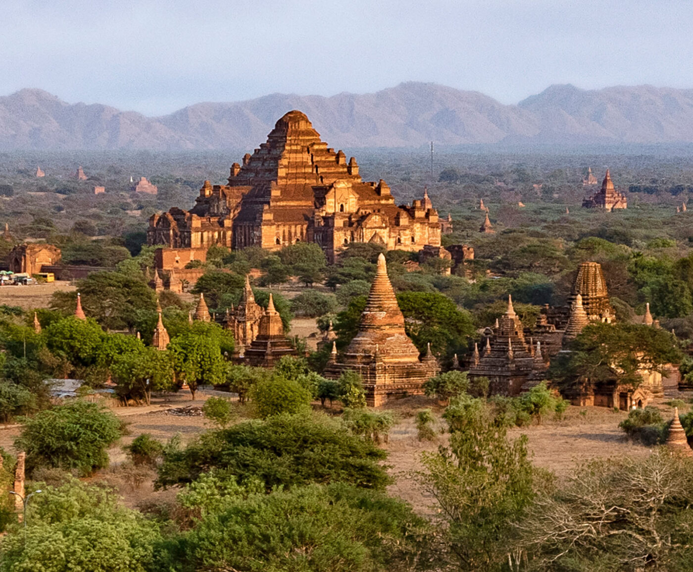 Conservation in the Time of COVID | Getty Iris